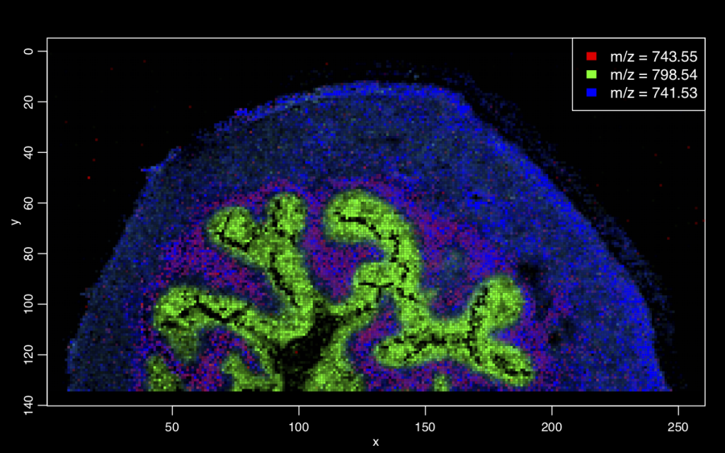 Datasets – Cardinal MSI